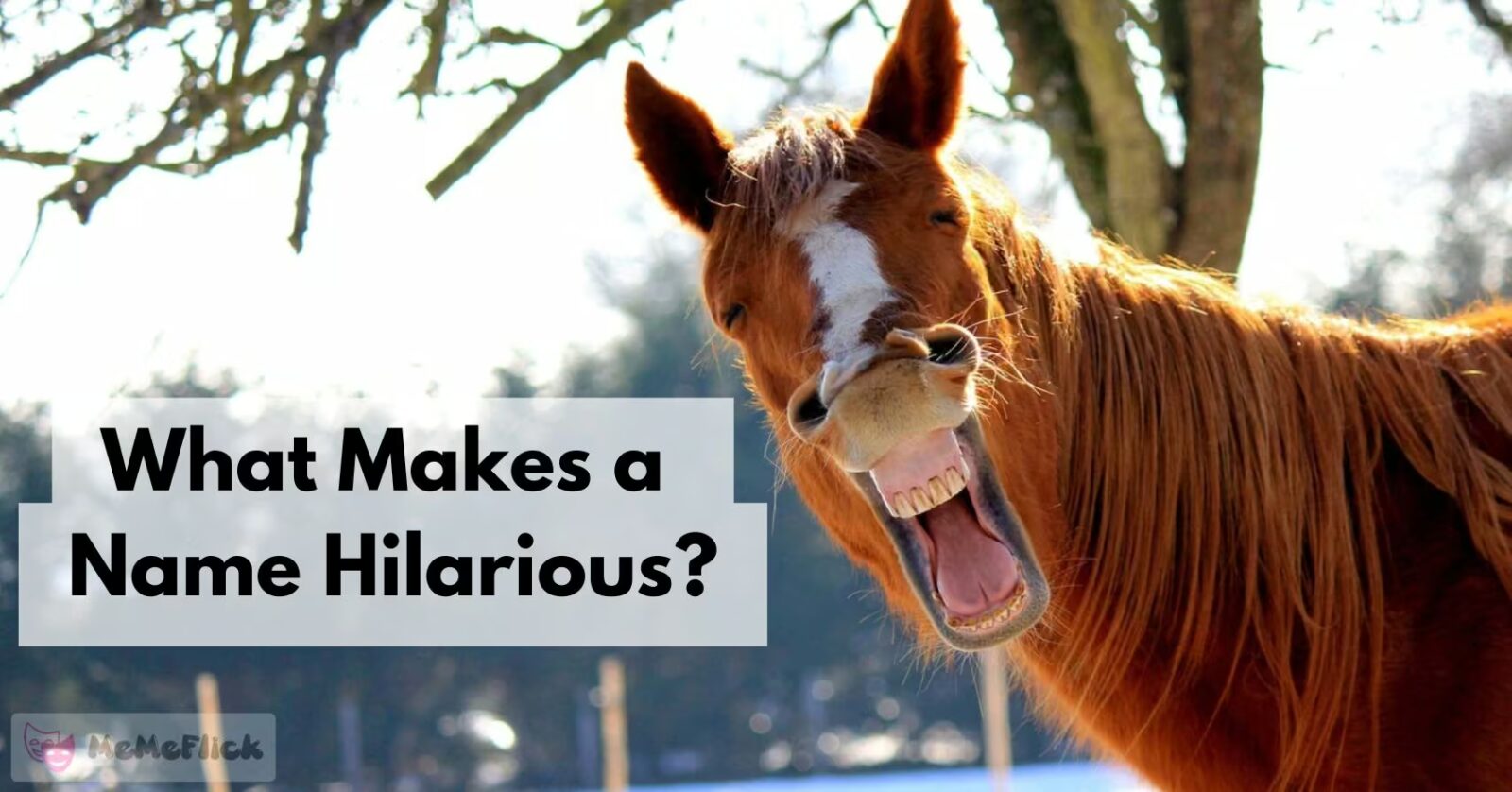 50 Hilariously Funny Names That Will Make You Do a Double Take – MeMeFlick