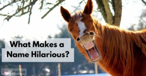 50 Hilariously Funny Names That Will Make You Do a Double Take – MeMeFlick