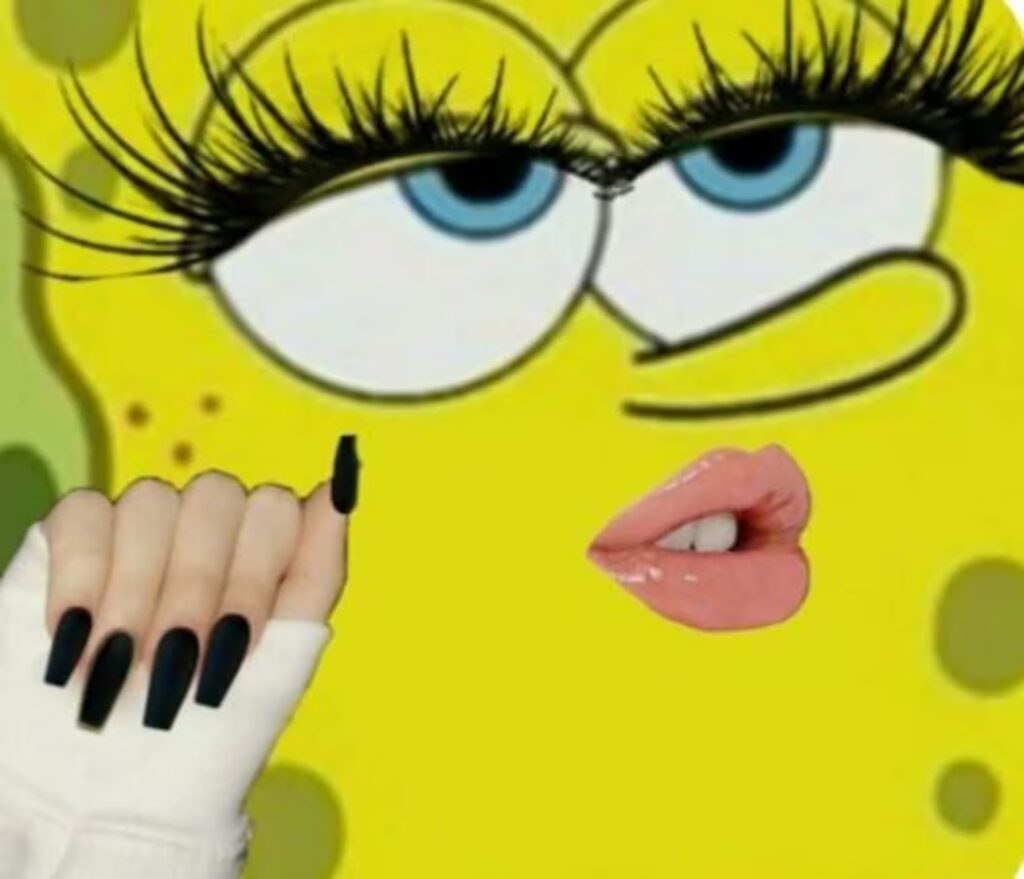 Looking for a Funny PFP? Here Are the 10 Best Ones to Use! – MeMeFlick